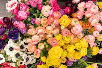 Riley's Flowers of Santa Barbara – RILEY'S FLOWERS