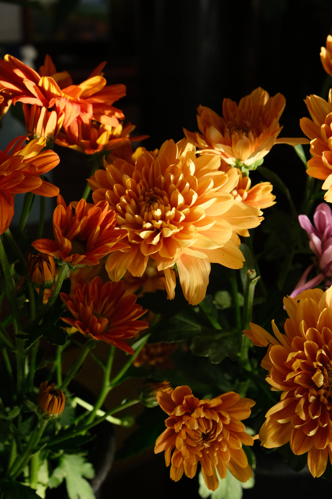 Riley's Flowers of Santa Barbara – RILEY'S FLOWERS