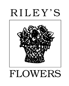 Riley's Flowers of Santa Barbara – RILEY'S FLOWERS